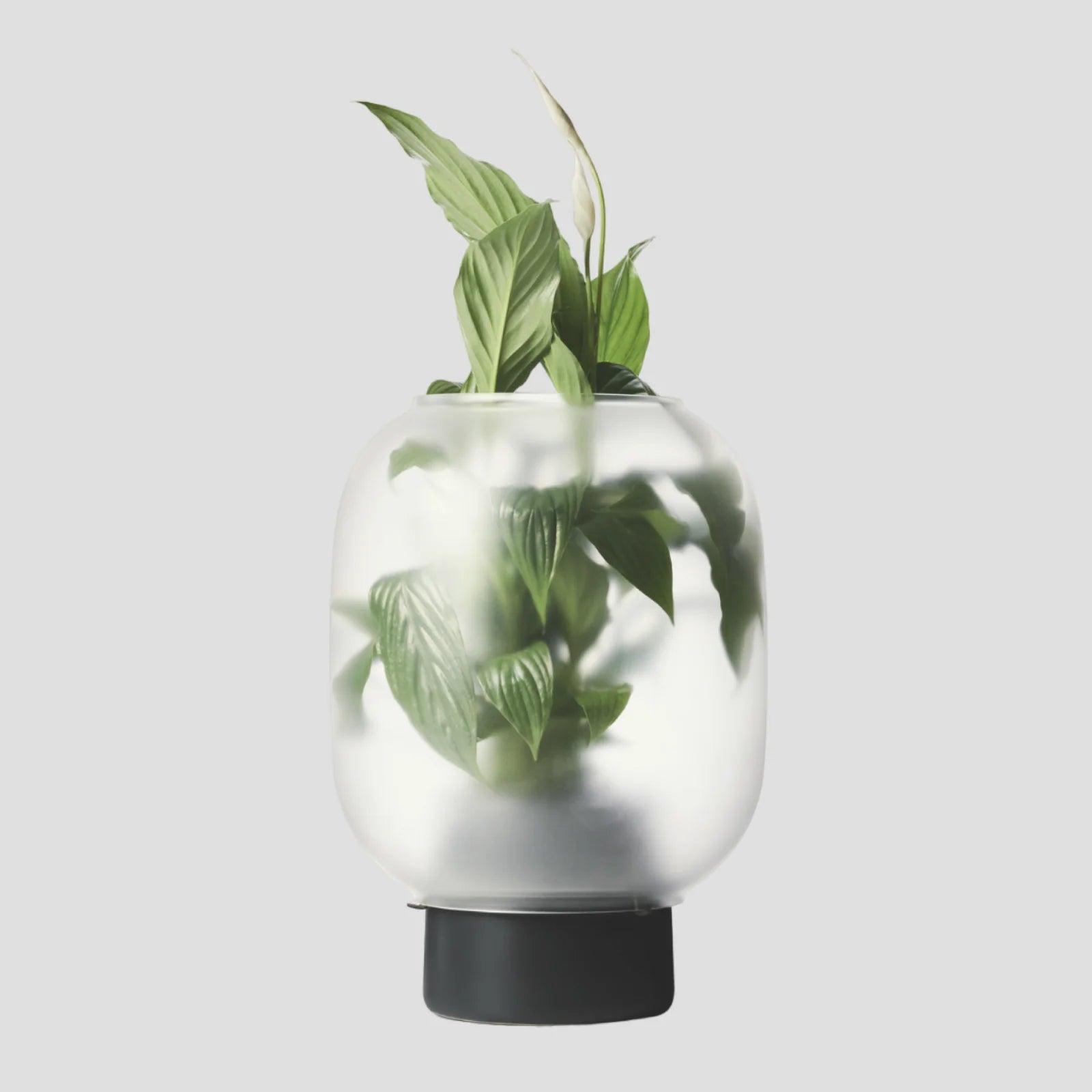 NEBL Planter Big - Black Sale Price – Figure Lecture
